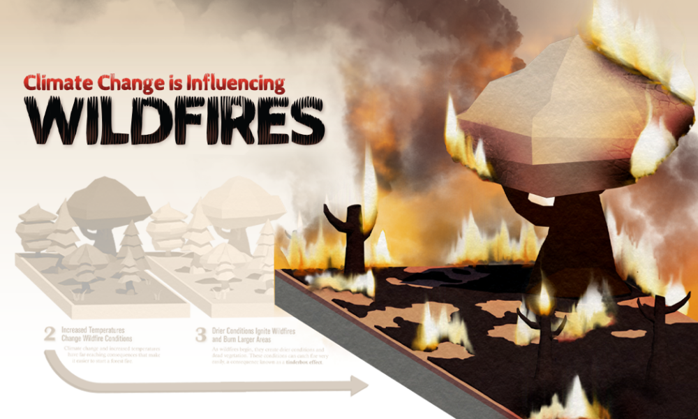 Decarbonization: A Visual Capitalist and NPUC Partnership